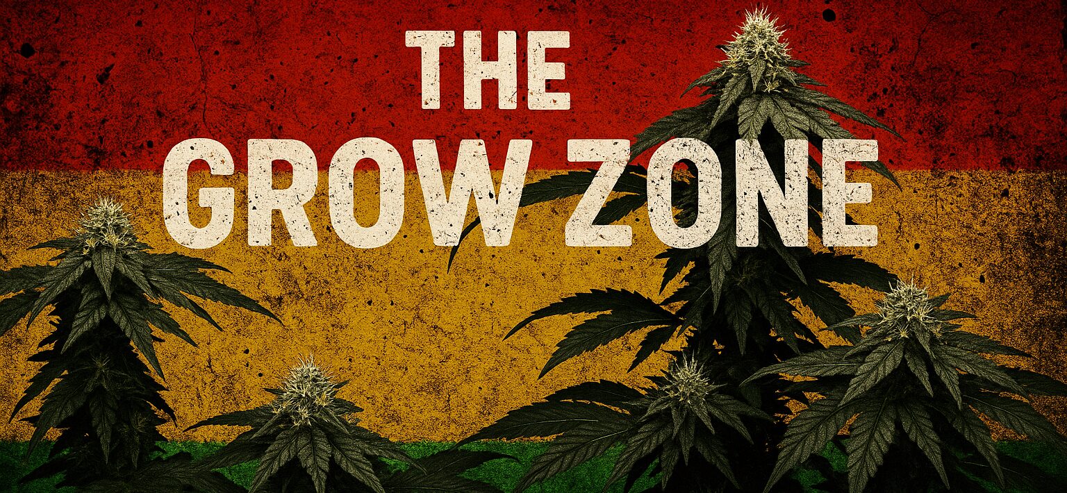 The Grow Zone: Expert Tips, Killer Grows, and Cultivation Gold