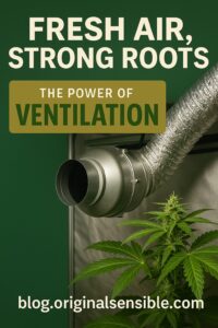 Fresh Air, Strong Roots: Ventilation for Plant Health
