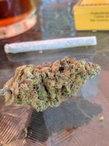 Trop Cherry: A Sinful Fusion of Sweet Fire and 30% THC Obsession
